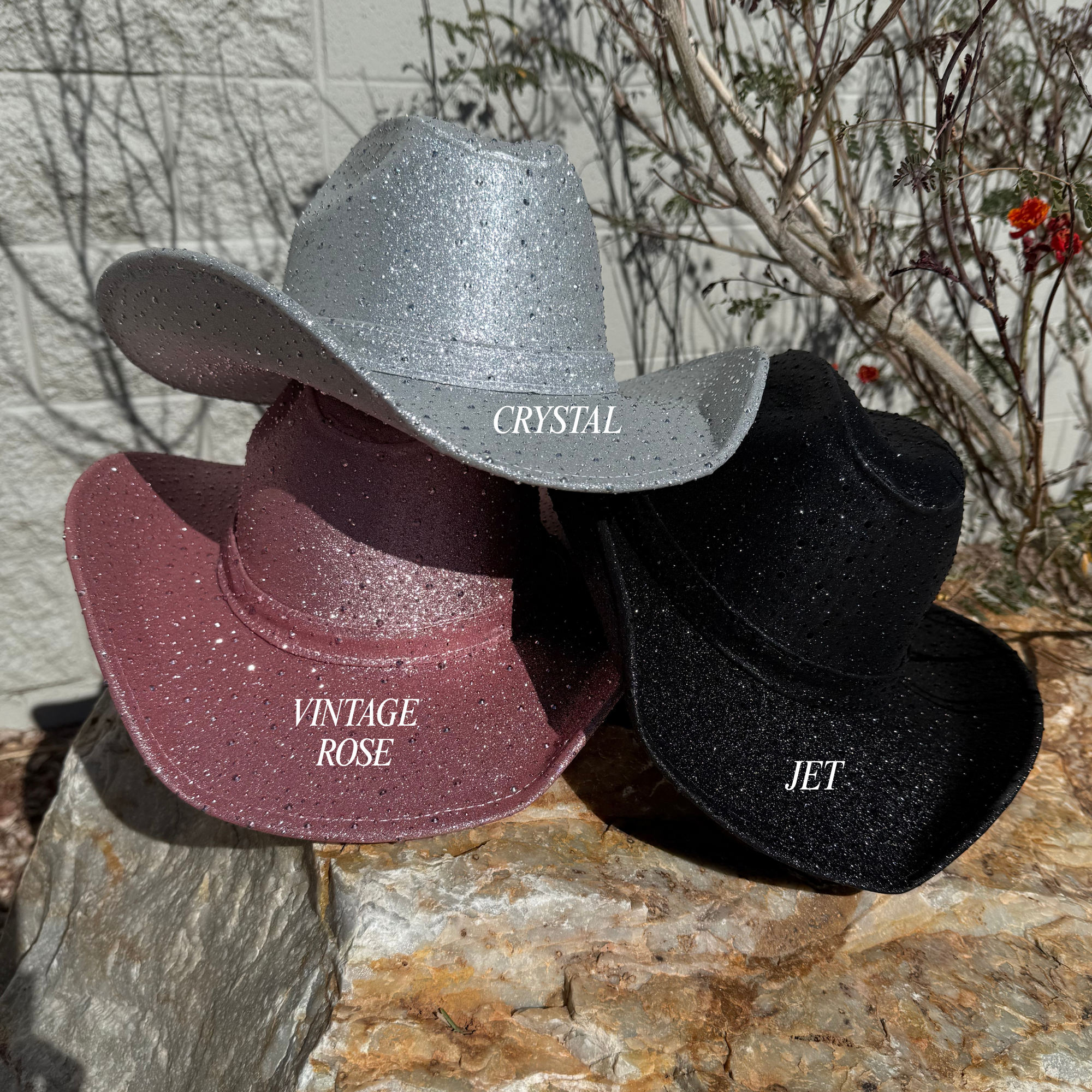 Rhinestone Rodeo – The Modern Cactus Co.
